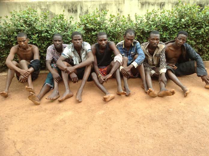 Police Nab Six Notorious Robbers In Enugu | African Examiner