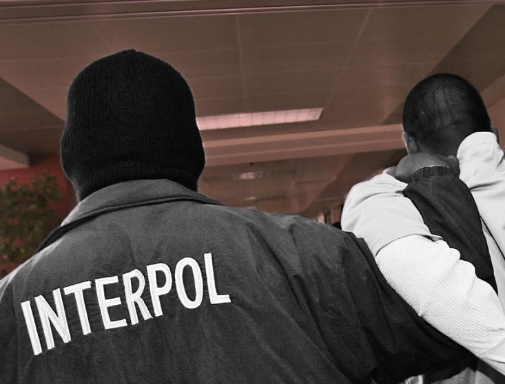 INTERPOL Arrests 2 Nigerians For €14.7 Million COVID-19 Scam | African ...