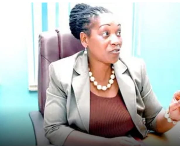 Corruption: Zimbabwe Replies Britain Over Rushwaya’s Gold Smuggling ...