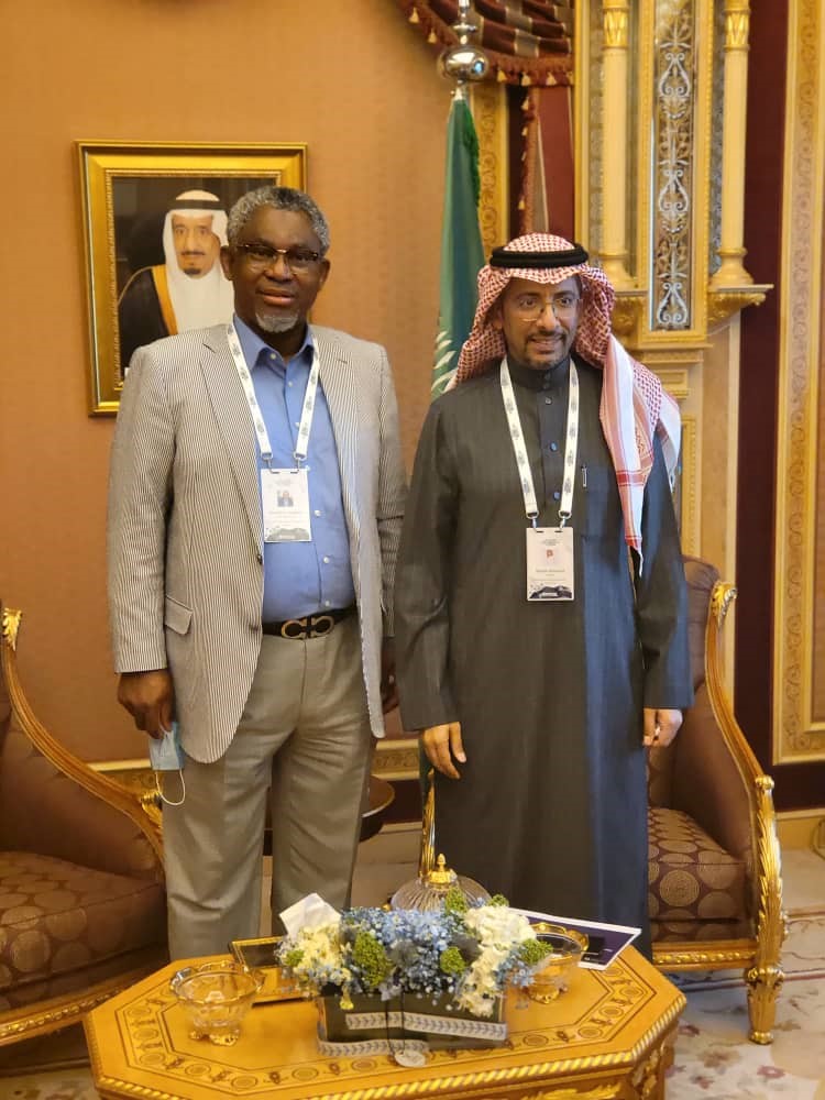 Adegbite Woos Investors To Nigeria’s Mining Sector | African Examiner