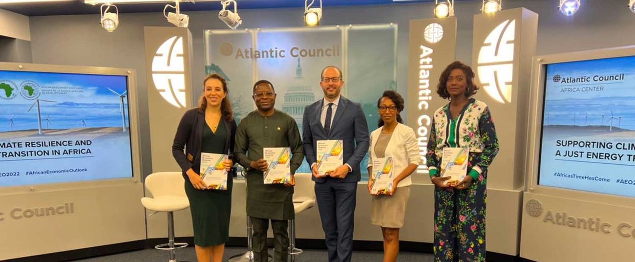 COP 27: Atlantic Council Panel Canvasses Africa Agenda | African Examiner