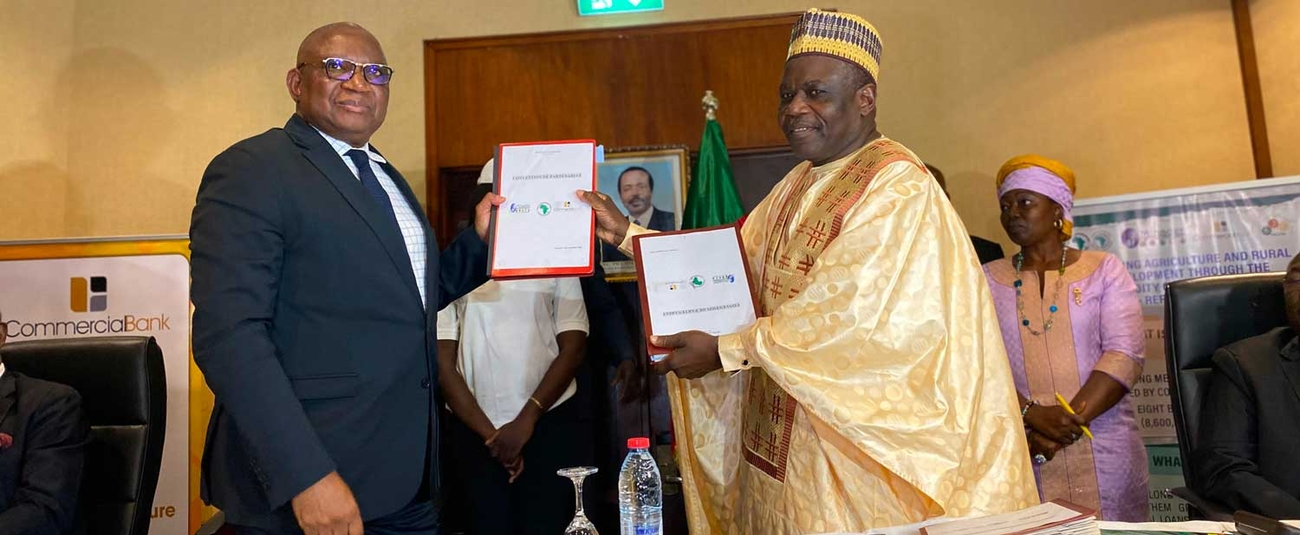 Cameroon, AfDB Sign Pact To Strengthen Agricultural Value Chains ...