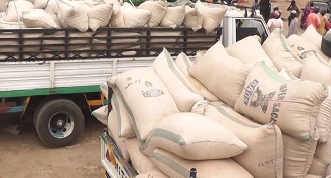 Tinubu Directs Release Of 42,000 Metric Tons Of Grains | African Examiner